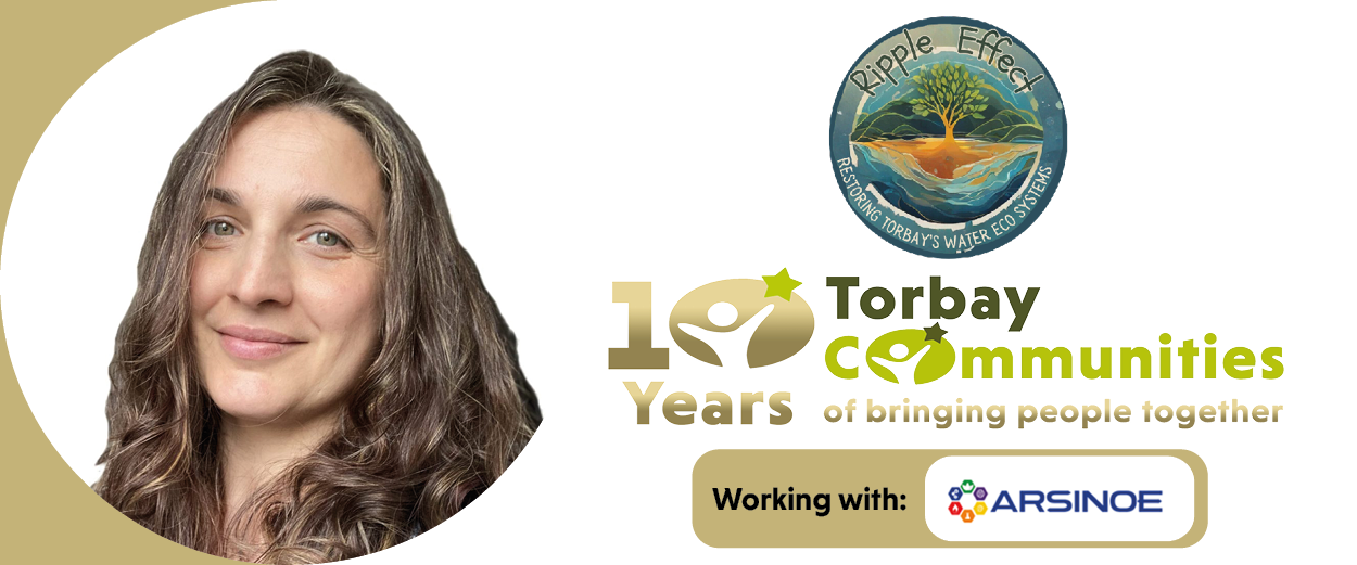 Calling all Torbay Creatives! - The Point Torquay